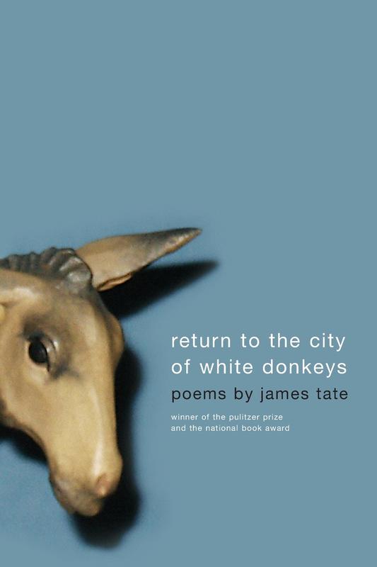 Bookscape | Buy Return to the City of White Donkeys