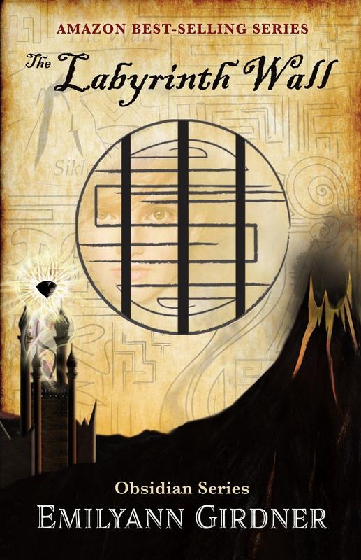 Bookscape | Buy The Labyrinth Wall