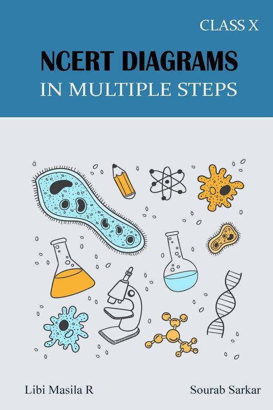 Buy Ncert Diagrams In Multiple Steps: Class 10