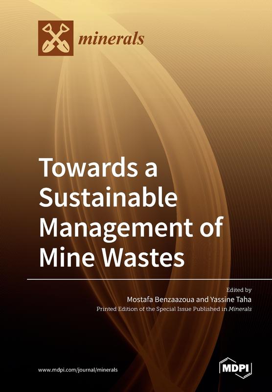 Bookscape | Buy Towards a Sustainable Management of Mine Wastes ...