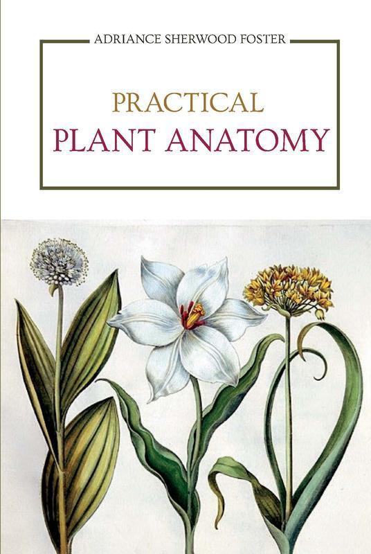Buy PRACTICAL PLANT ANATOMY Book Online at Best Price | Bookscape