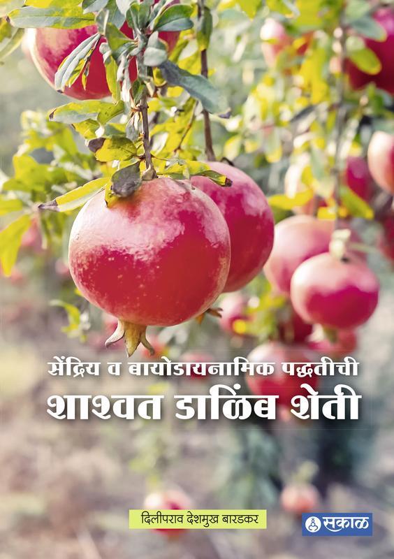 Buy Shashwat Dalimb Sheti Book Online at Best Price | Bookscape