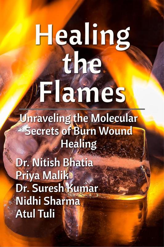 Buy Healing the Flames-Unraveling the Molecular Secrets of Burn Wound ...